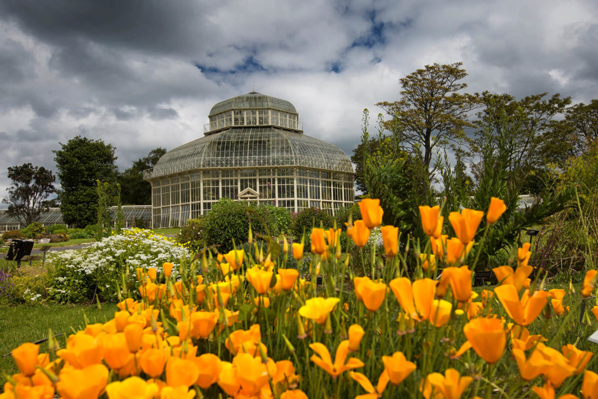 Hotel Near Botanic Gardens Belfast | The Europa Hotel