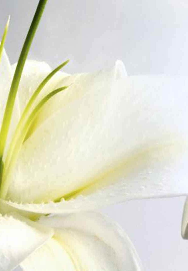 Occasions Belfast Party Venues Belfast The Europa Hotel occasions-belfast-party-venues-belfast-the-europa-hotel